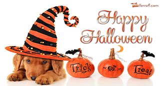 Happy Halloween Wishes