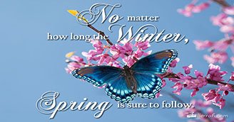 May the beauty of Spring fill your heart